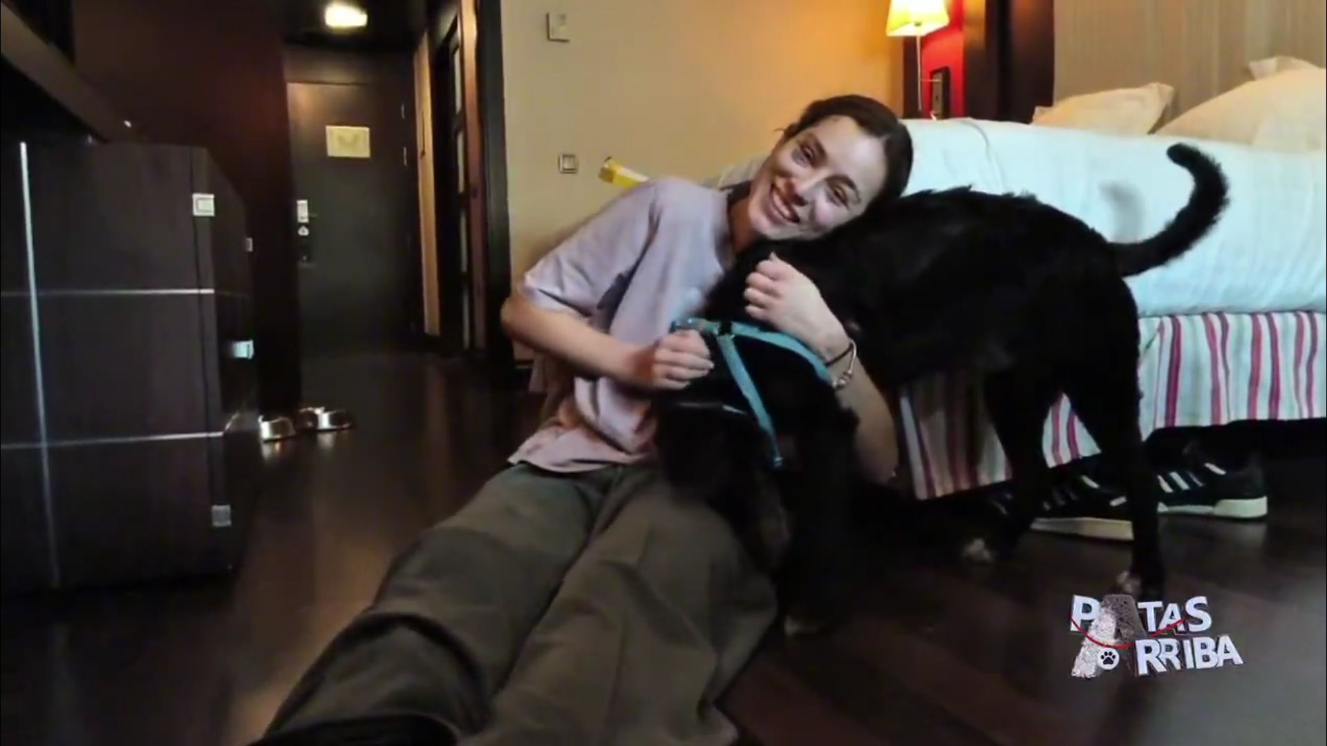 WATCH: Boro the dog is reunited with his owner four days after ...