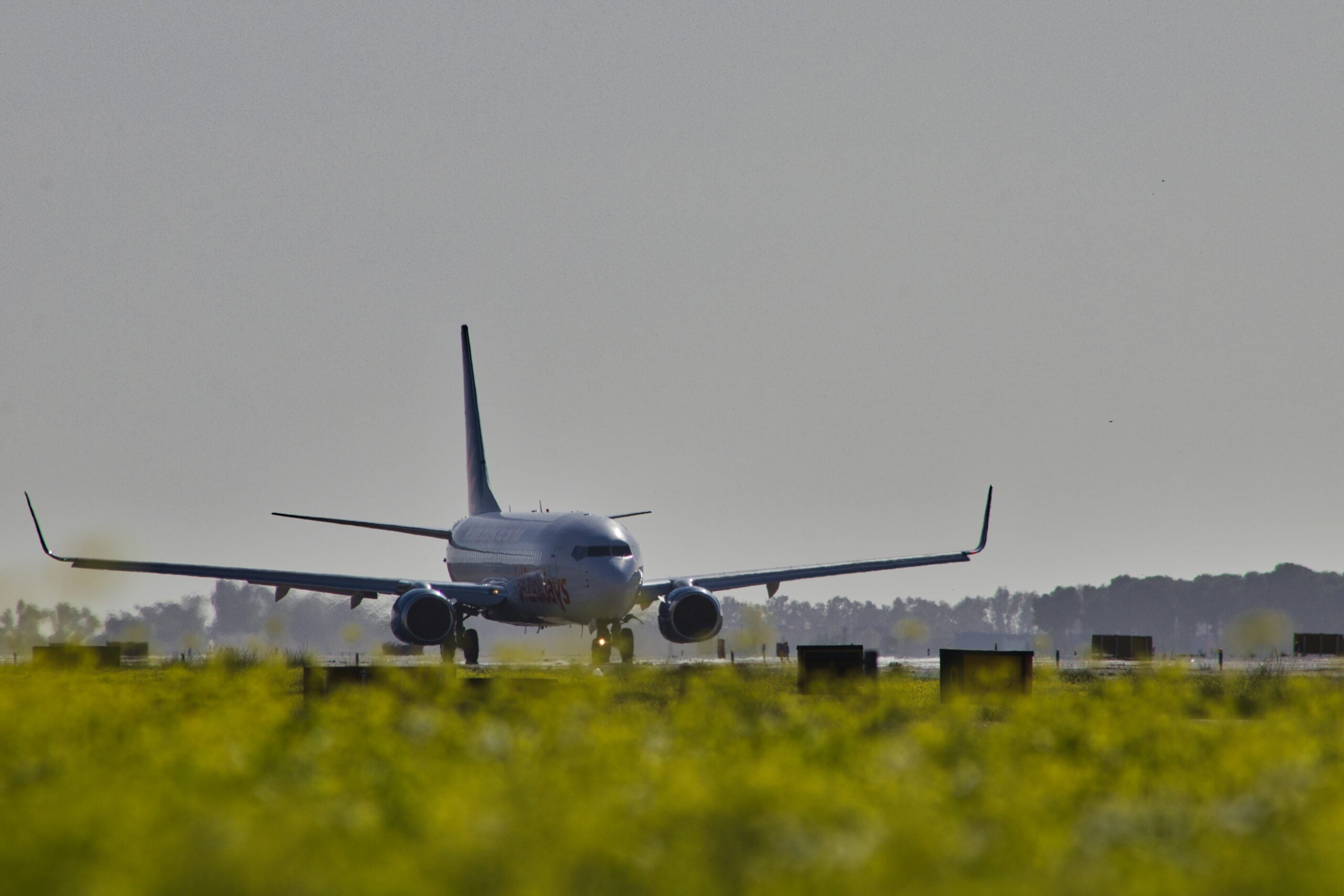 Major plane crash drill held at Malaga Airport involving 170 emergency ...
